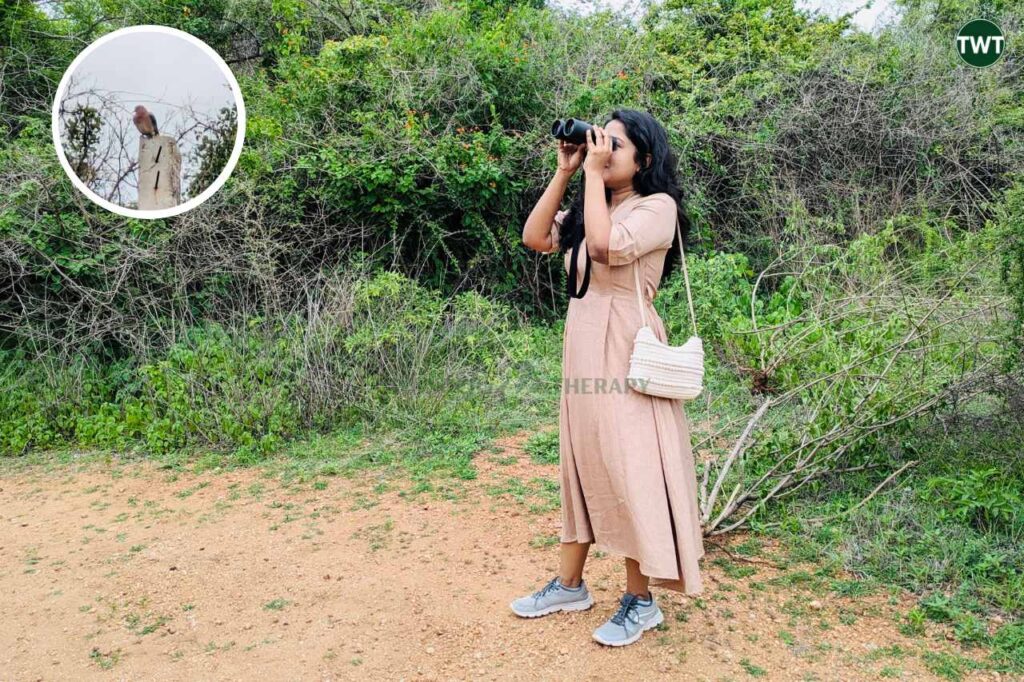 Evolve Back Hampi Review: Live Like A Royal At This Luxury Indian Resort