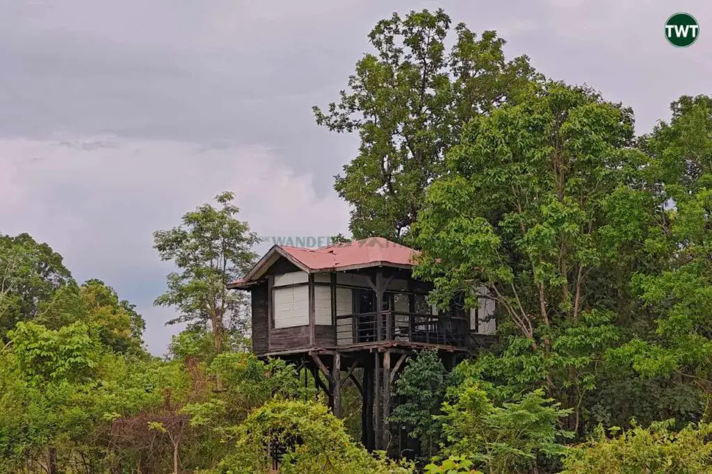 Pench Tree Lodge Review: A Wildlife Resort With A Secret Photography Hide!