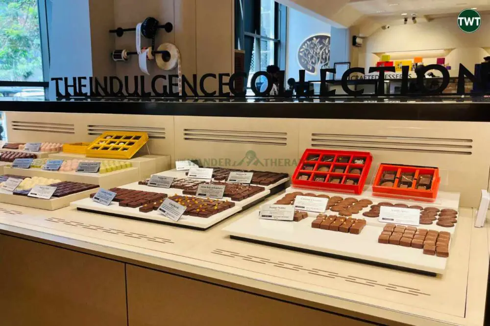 Manam: A One-Of-Its-Kind Chocolate Factory Spreading Magic In Hyderabad!