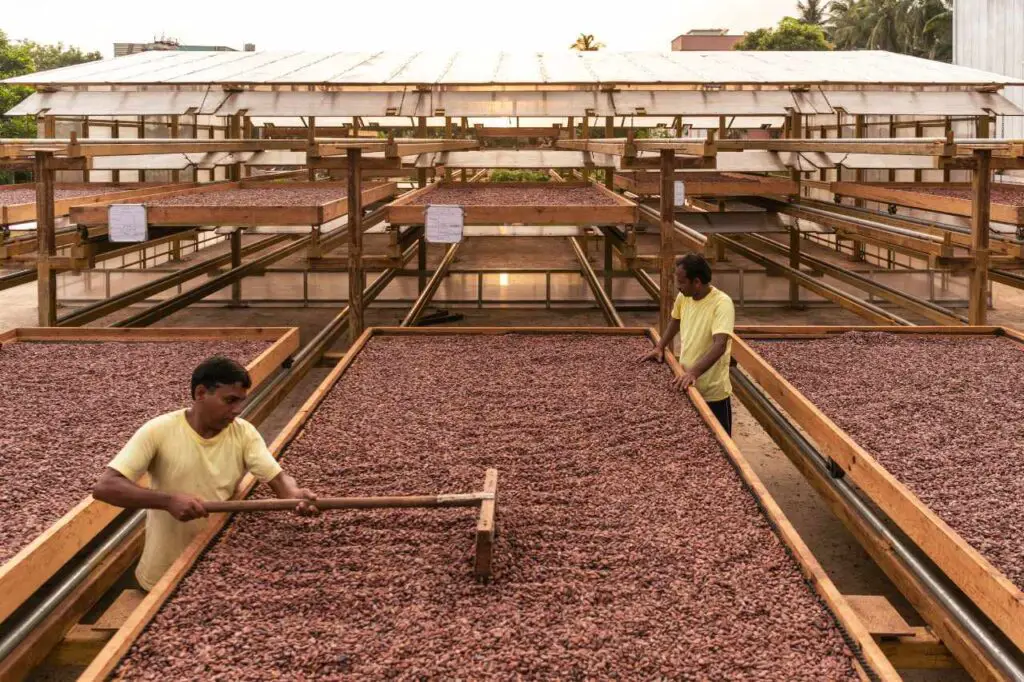 Manam: A One-Of-Its-Kind Chocolate Factory Spreading Magic In Hyderabad!