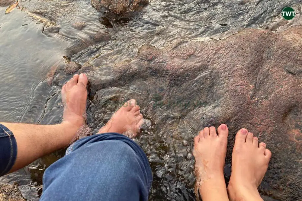 Coorg’s Best Places To Visit, Stay & More: Complete Travel Guide